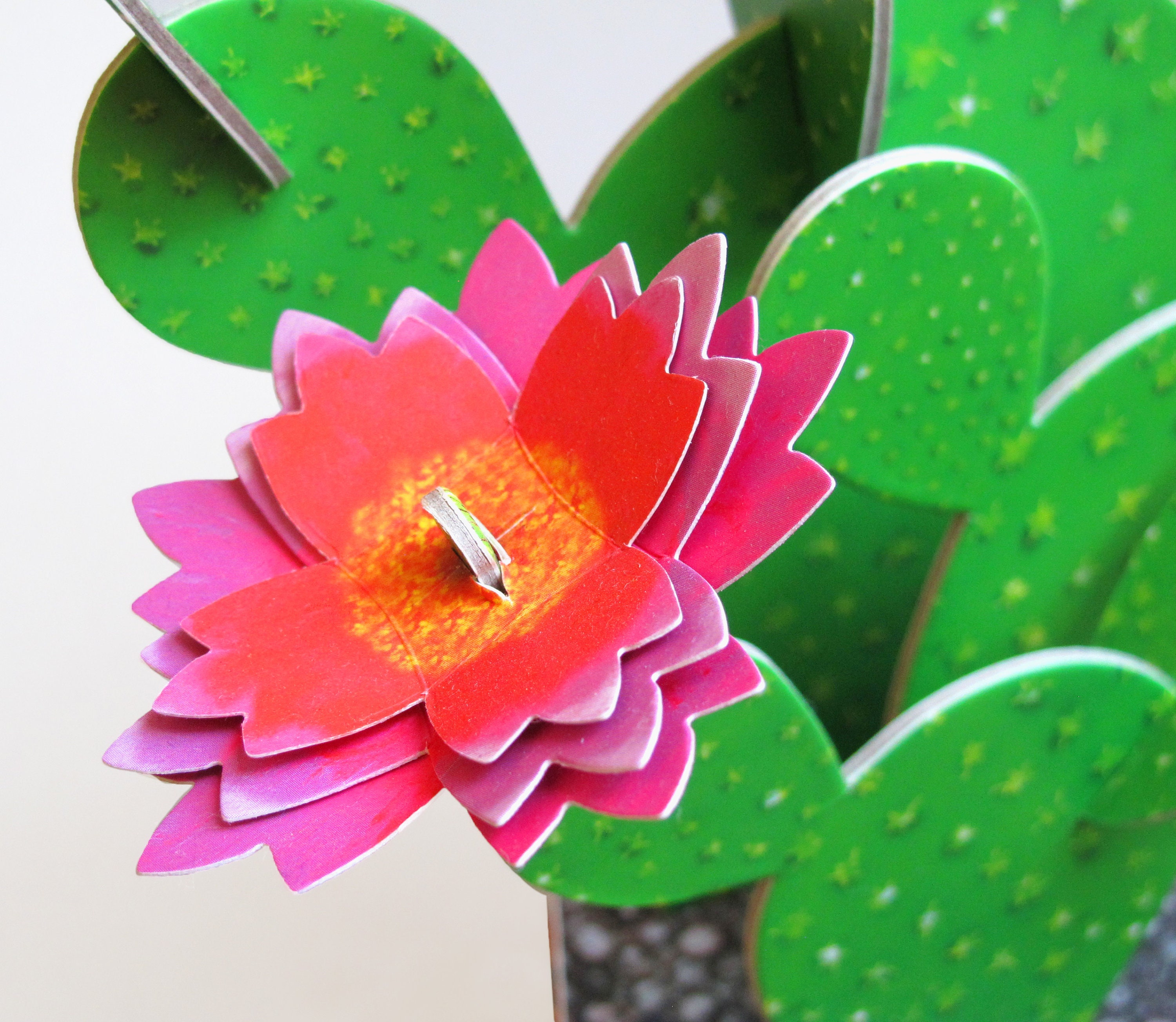 Cactus Craft Kit, Cardboard Plant, DIY Cactus Kit, Prickly Pear Cactus ...