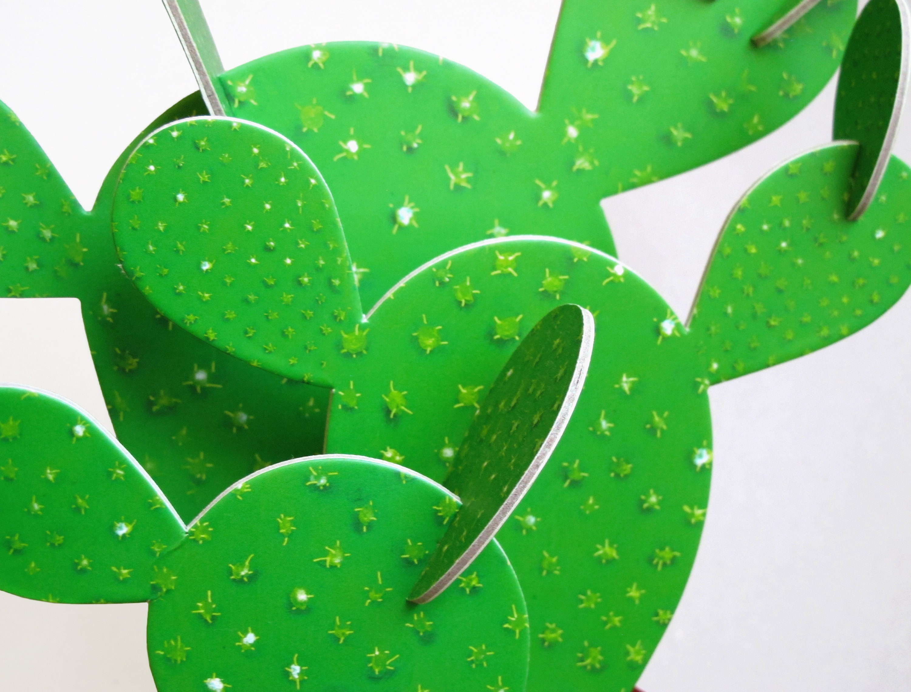 Cactus Craft Kit, Cardboard Plant, DIY Cactus Kit, Prickly Pear Cactus ...