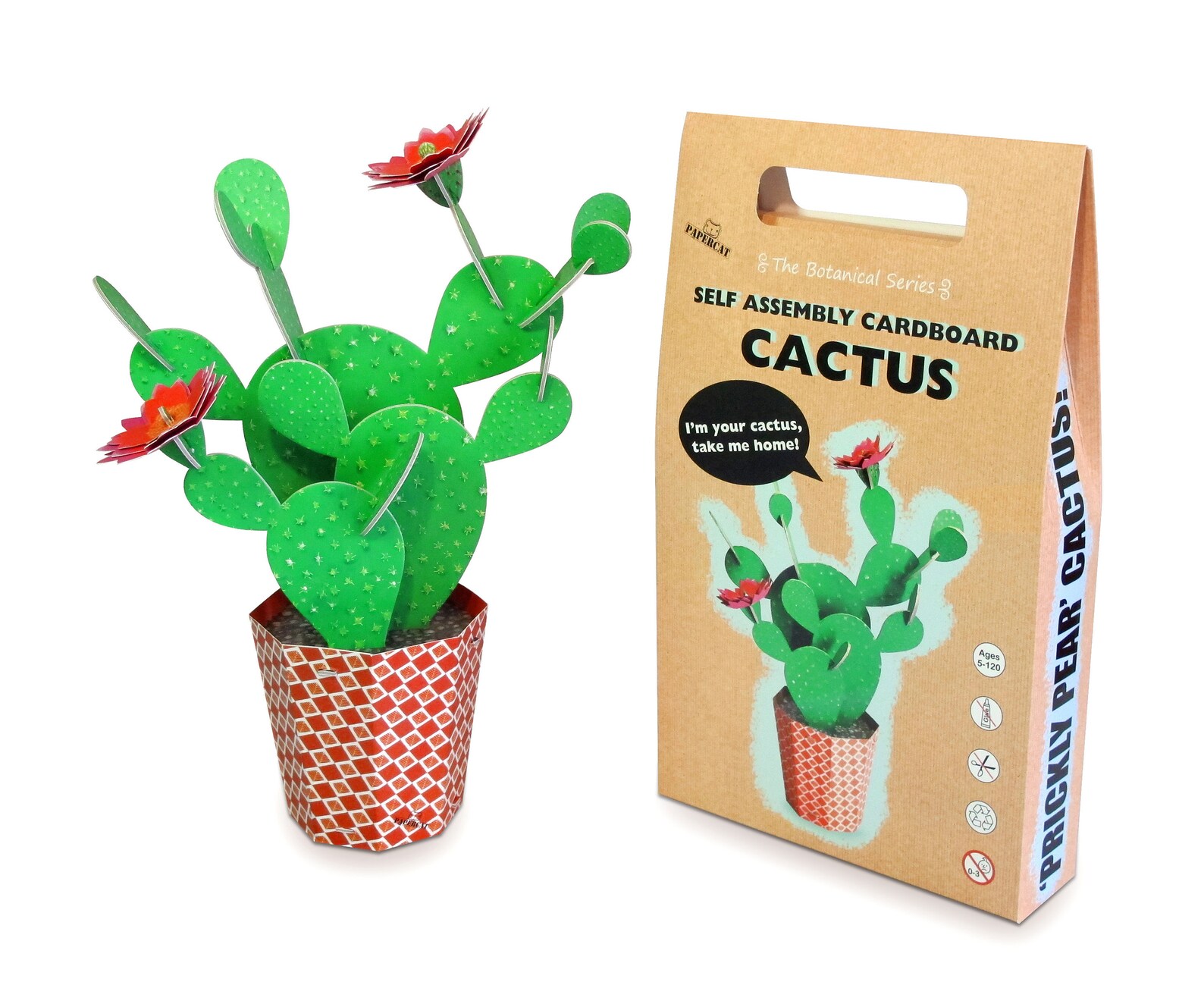 Cactus Craft Kit, Cardboard Plant, DIY Cactus Kit, Prickly Pear Cactus ...