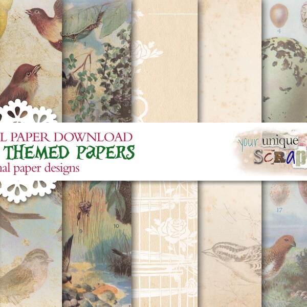 Bird Scrapbook Paper - Etsy