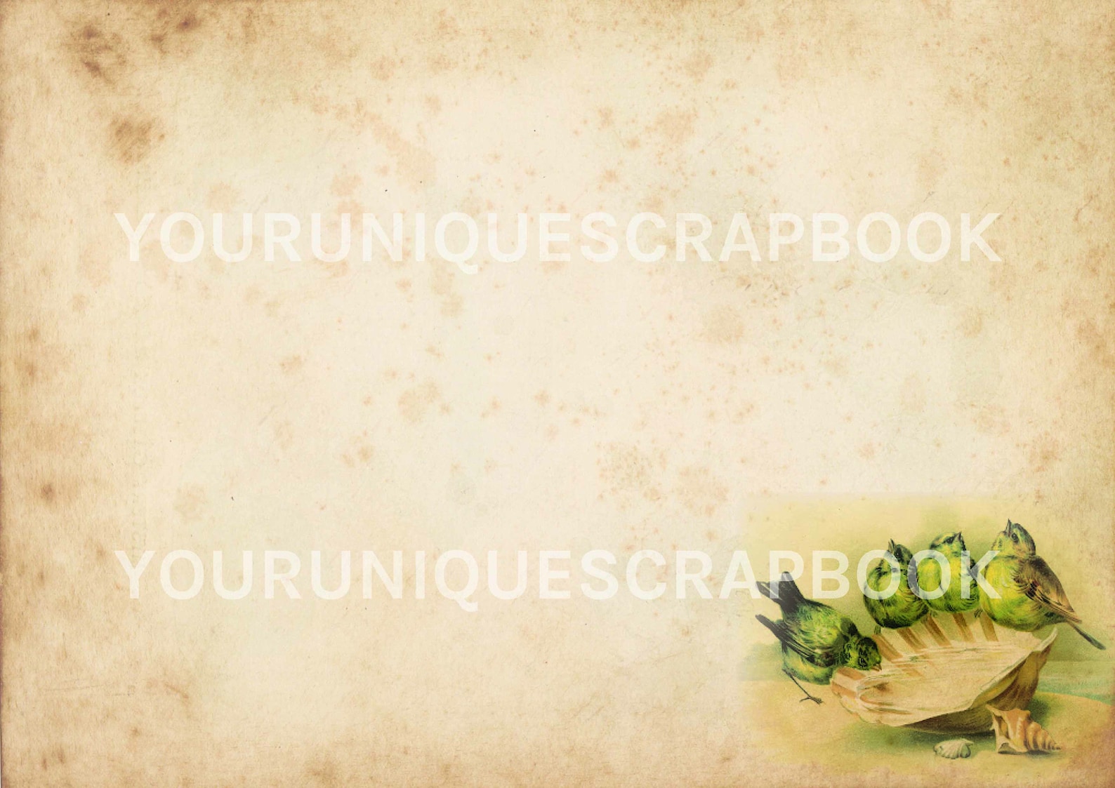 Bird Themed Paper 10 Sheets Scrapbooking Journal Paper - Etsy