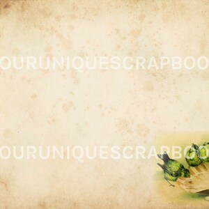 Bird Themed Paper - 10 Sheets - Scrapbooking Journal Paper - Digital ...
