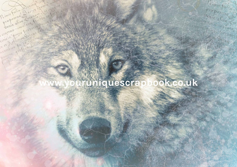 Wolves - 8 Digital Paper Downloads - Scrapbooking Digital Paper ...