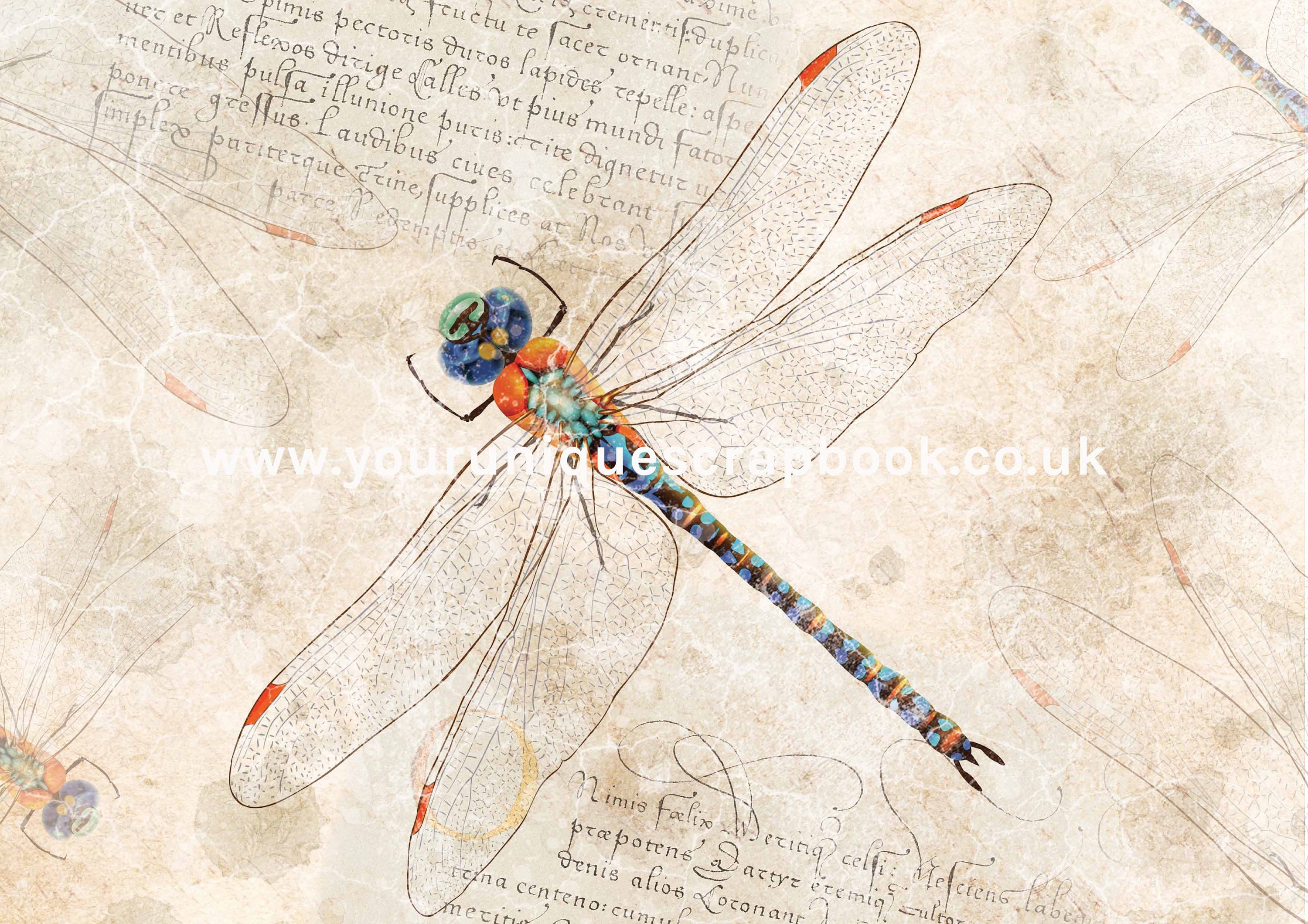 Dragonfly Themed Paper 8 Digital Sheets Scrapbooking Digital Paper ...
