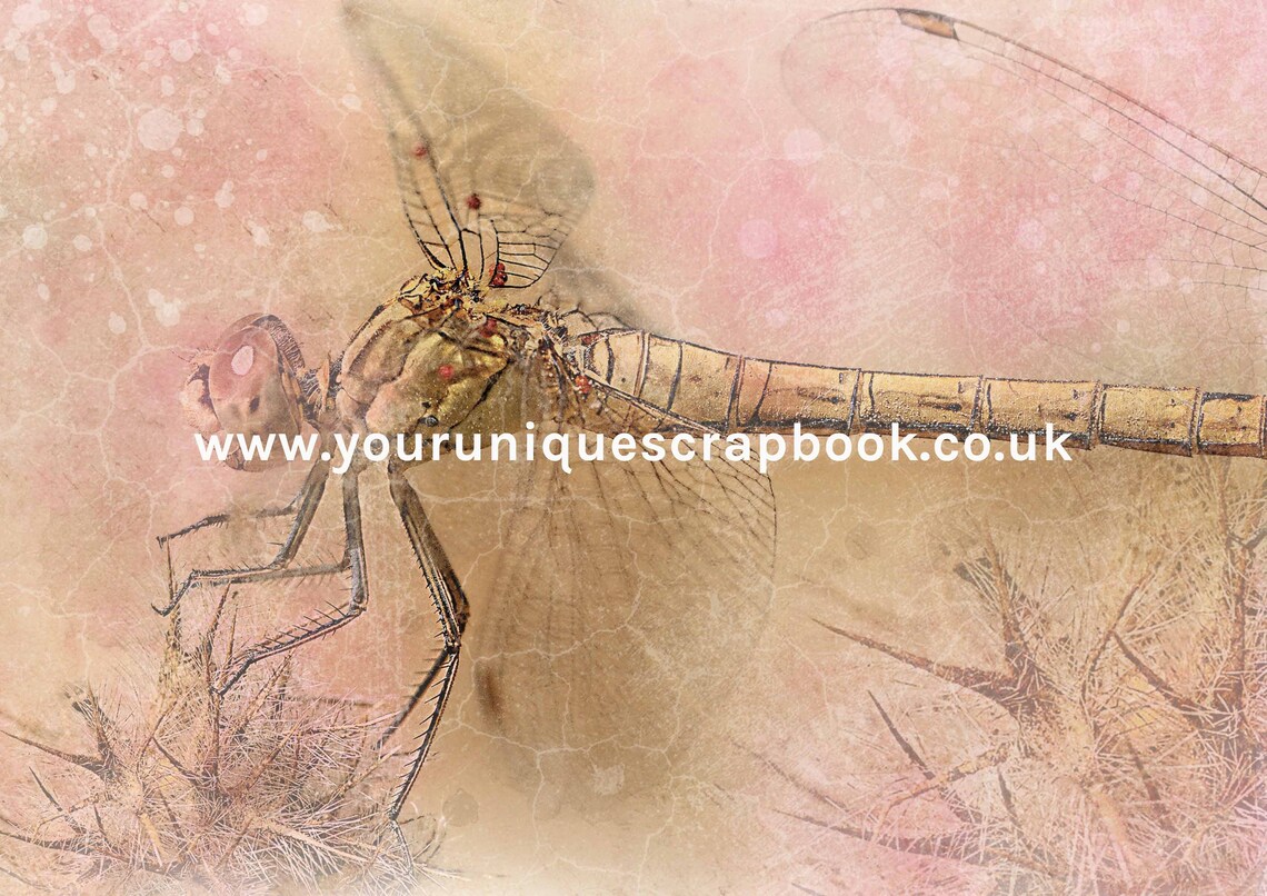 Dragonfly Themed Paper 8 Digital Sheets Scrapbooking - Etsy