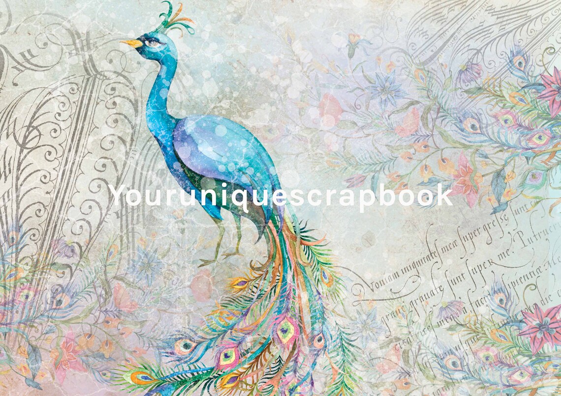 Peacock - 8 Digital Papers - Scrapbooking Digital Paper - Digital ...