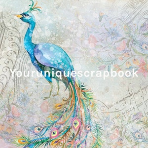 Peacock - 8 Digital Papers - Scrapbooking Digital Paper - Digital ...