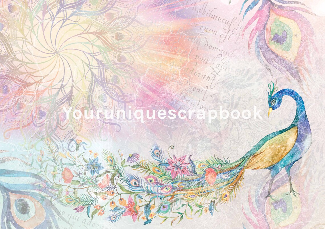 Peacock - 8 Digital Papers - Scrapbooking Digital Paper - Digital ...