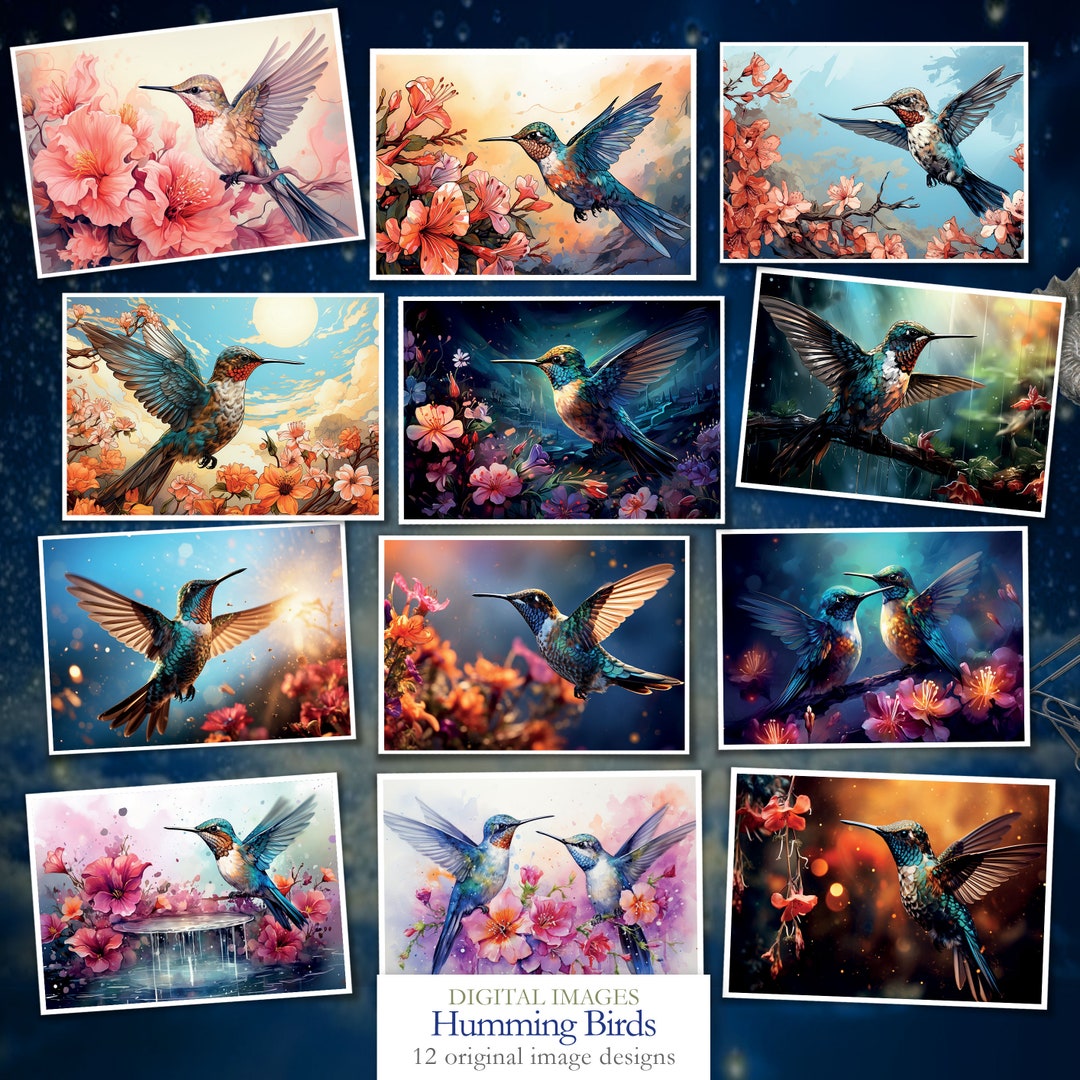 Hummingbirds Birds - 12 Digital Papers - Scrapbooking Journal Paper ...
