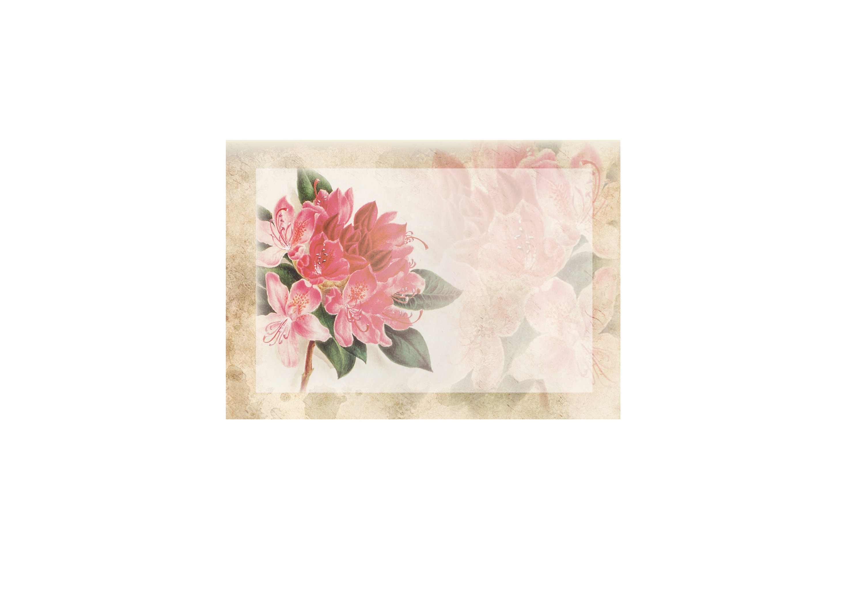 10 Botanical Flower Themed Postcards - Scrapbooking Journal Paper ...