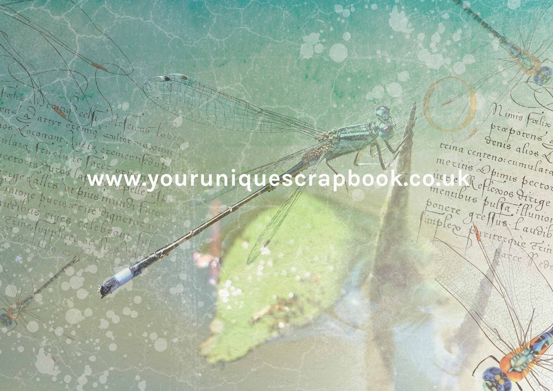 Dragonfly Themed Paper - 8 Digital Sheets - Scrapbooking Digital Paper ...