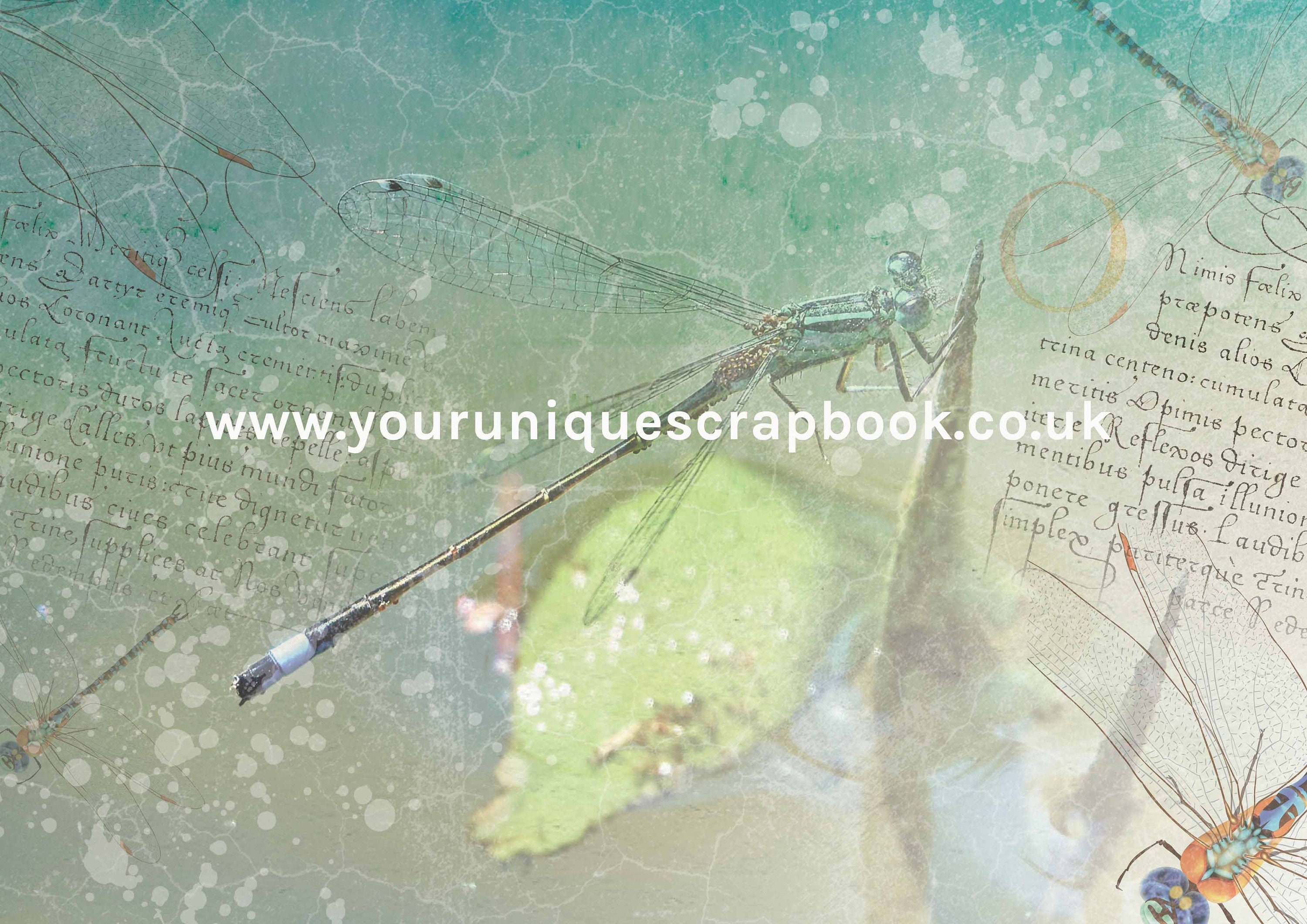 Dragonfly Themed Paper 8 Digital Sheets Scrapbooking Digital Paper ...