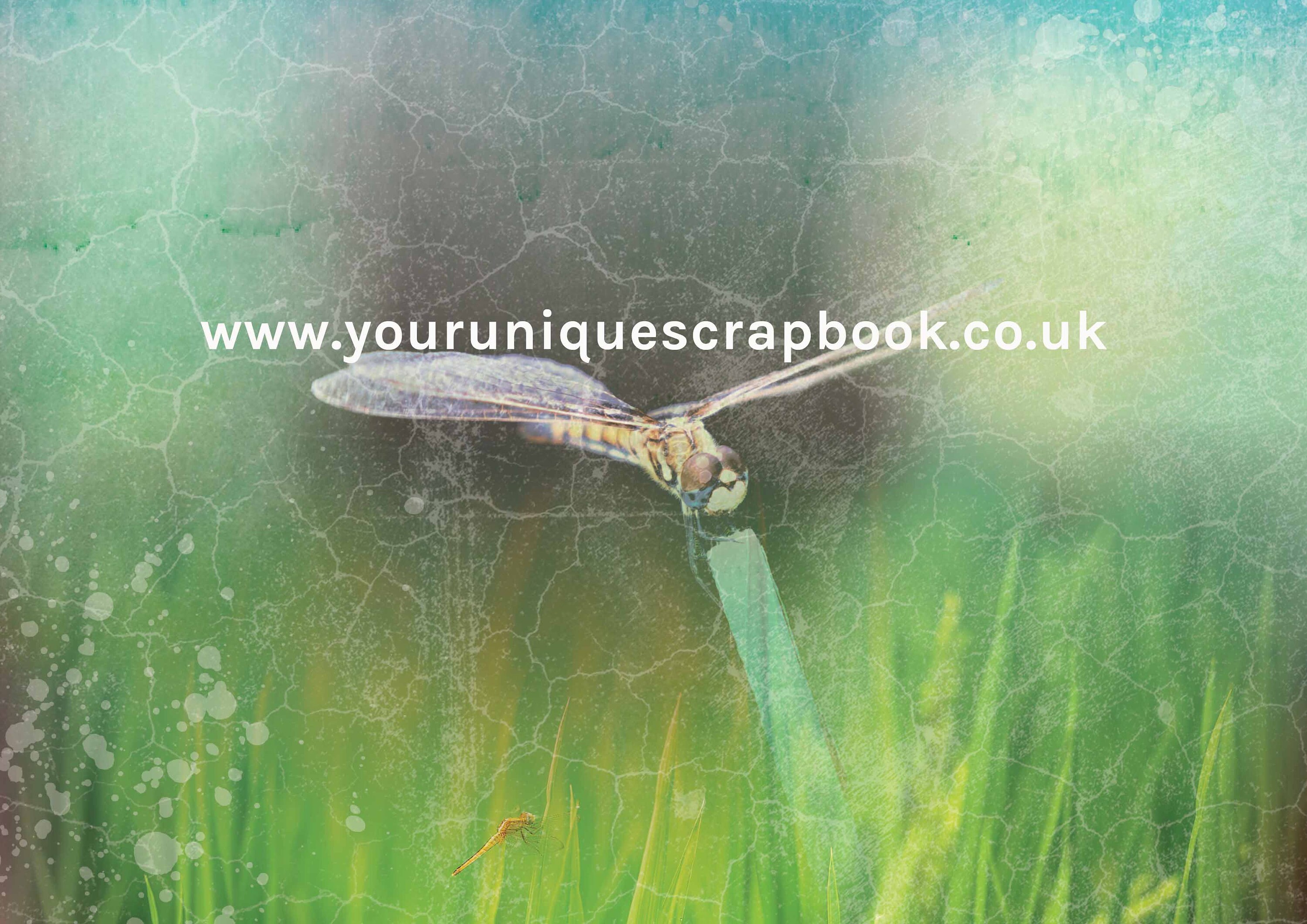 Dragonfly Themed Paper 8 Digital Sheets Scrapbooking Digital Paper ...