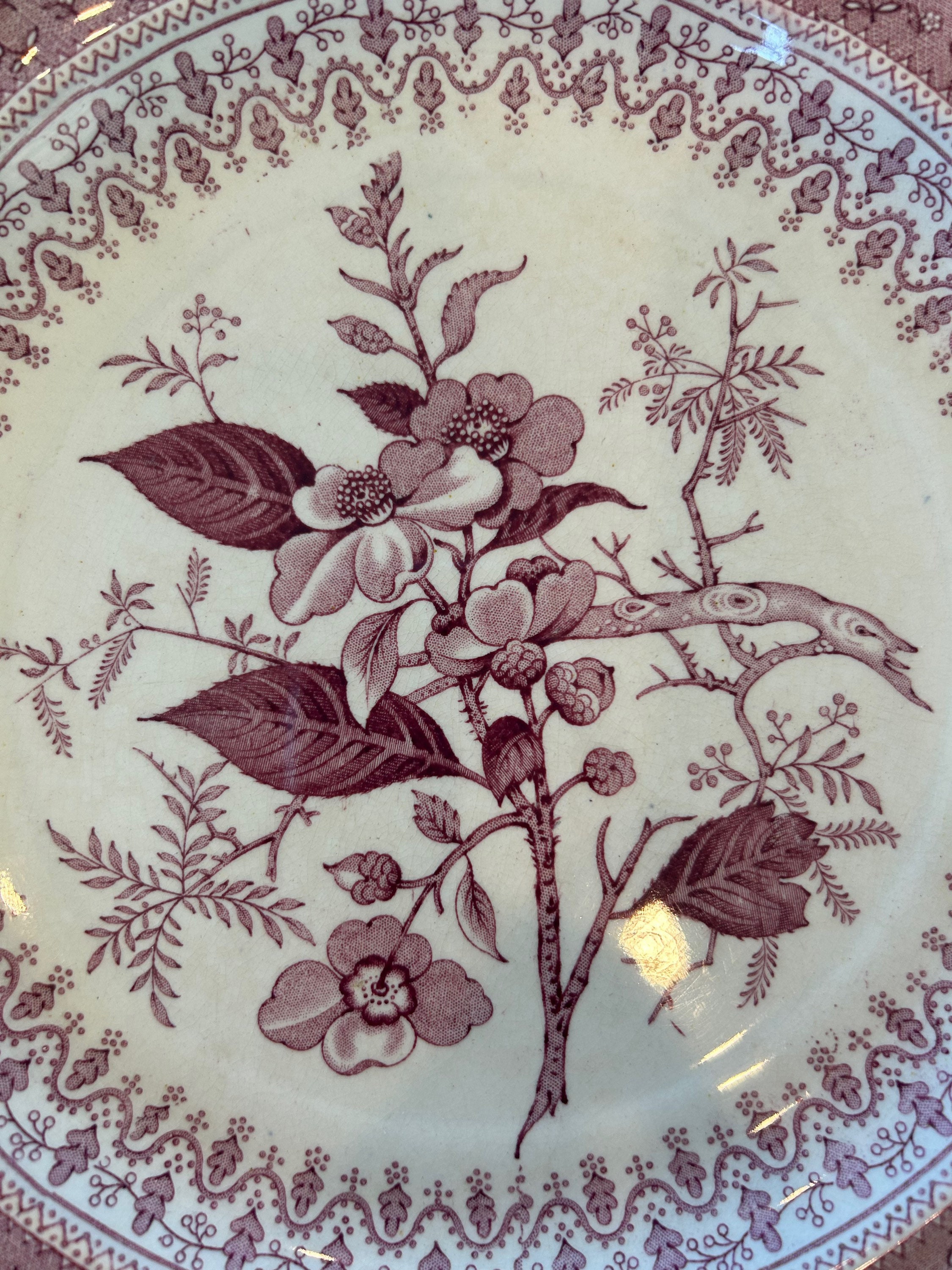 Antique English Transferware Purple Plate “asiatic Plants” Pattern - Etsy