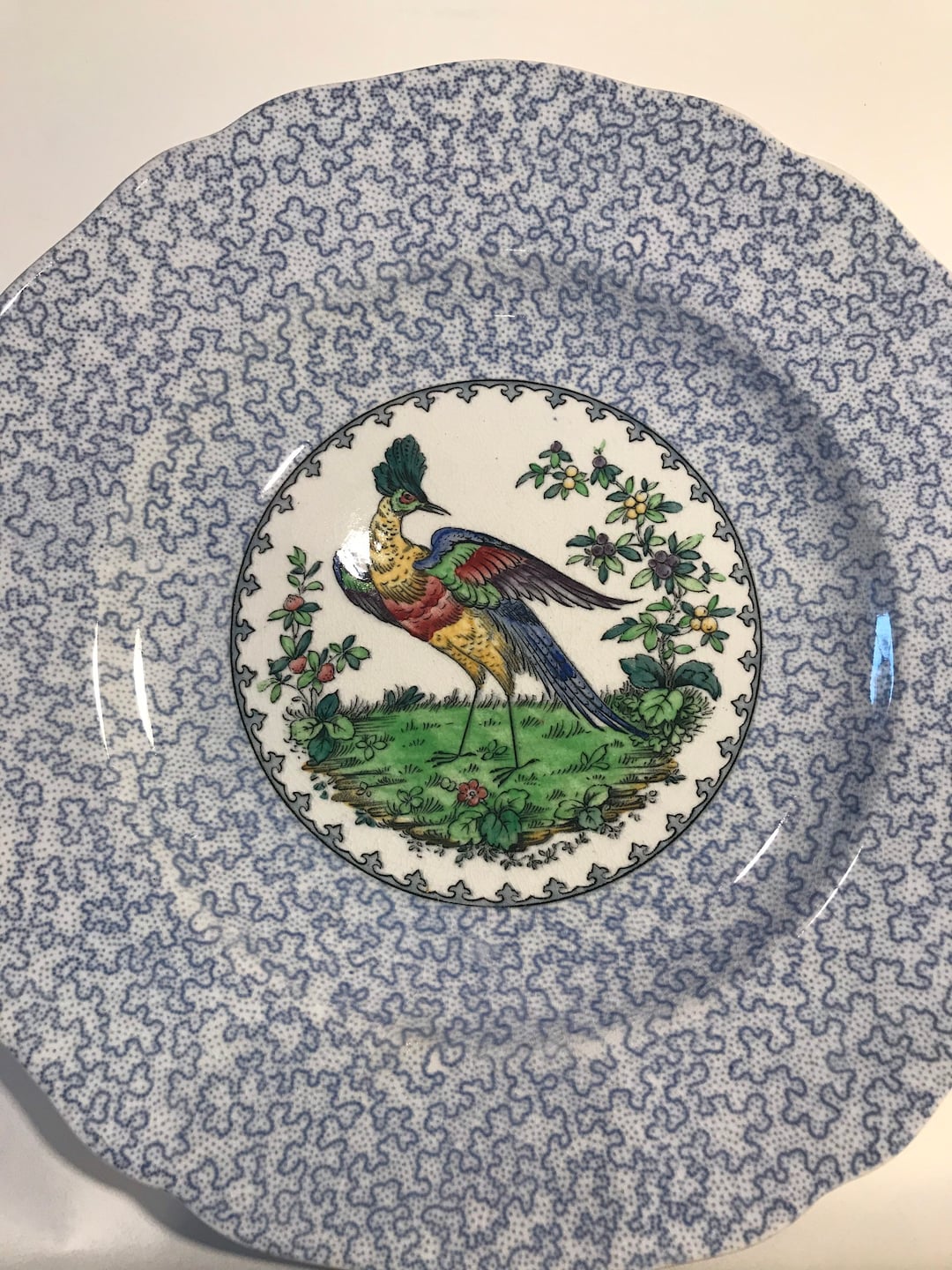 Copeland Spode Antique Bird Plate - Etsy