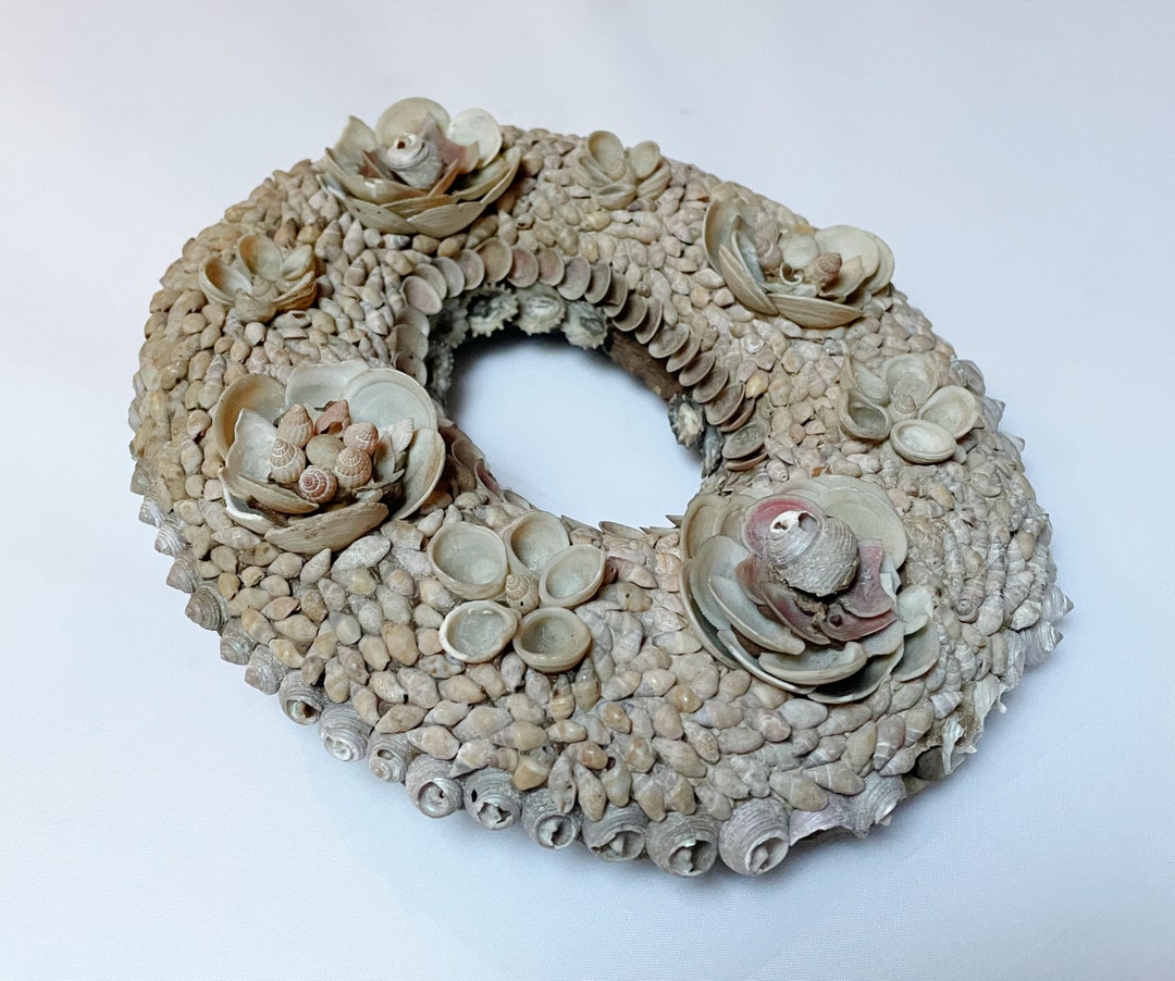 Victorian-era Shell Encrusted Picture Frame, Wabi-sabi, AS IS, Please ...