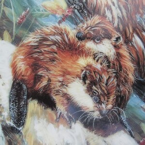 Vintage Beaver Family Collectible Plate Artist Amy Brackenbury - Etsy