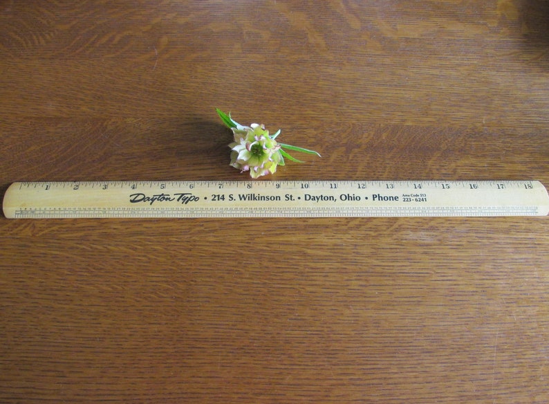 Vintage Wooden Dayton Typo Ruler Dayton Ohio Advertising - Etsy