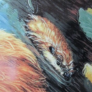 Vintage Beaver Family Collectible Plate Artist Amy Brackenbury the ...