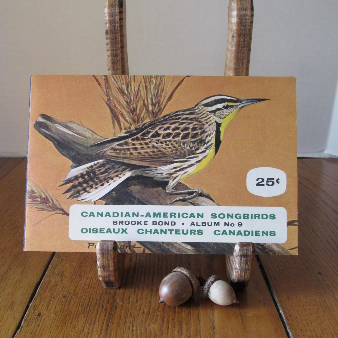 Vintage Canadian-american Songbirds Booklet Album No 9 Copyright 1965 ...