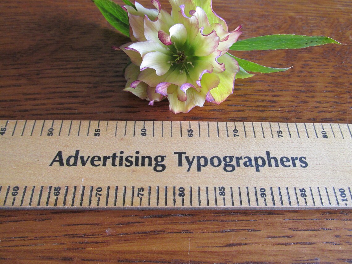 Vintage Wooden Dayton Typo Ruler Dayton Ohio Advertising - Etsy
