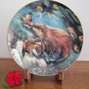 Vintage Beaver Family Collectible Plate Artist Amy Brackenbury the ...