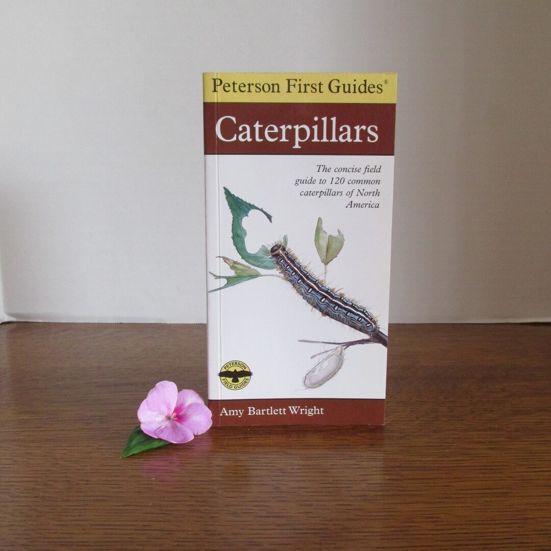 Peterson First Guides Caterpillars of North America by Amy Bartlett ...