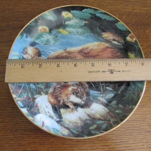 Vintage Beaver Family Collectible Plate Artist Amy Brackenbury the ...