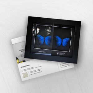 Real Framed Atlas Moth Specimen in Museum-grade Frame Ethically Sourced ...