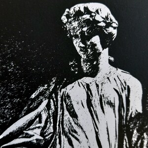 113 : Rome - Trevi Fountain, Statue of Salubrity - Limited Edition ...