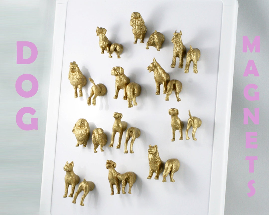 Huge Magnet Set for DOG LOVERS 24 Pieces Mix and Match the Head to the ...