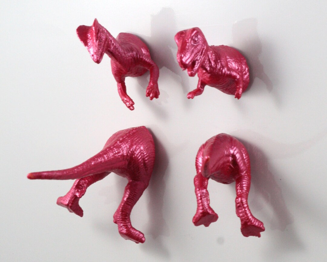 4 Piece Dinosaur Magnet Set Hop Pink Girl Dinosaurs Kitsch Magnet Gift ...