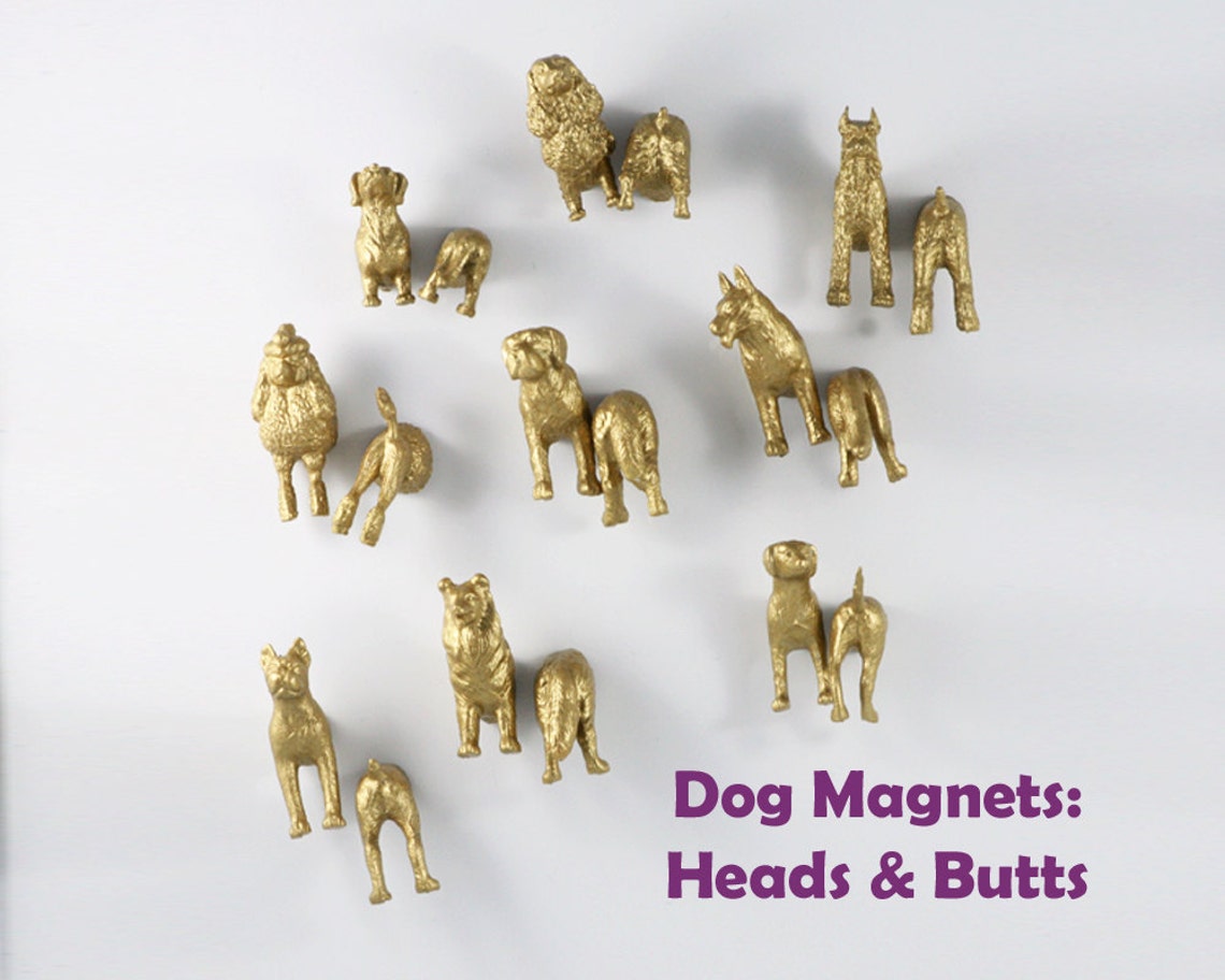 Large Dog Magnet Set Multi Dog Gold Magnets 18 Pieces 9 | Etsy