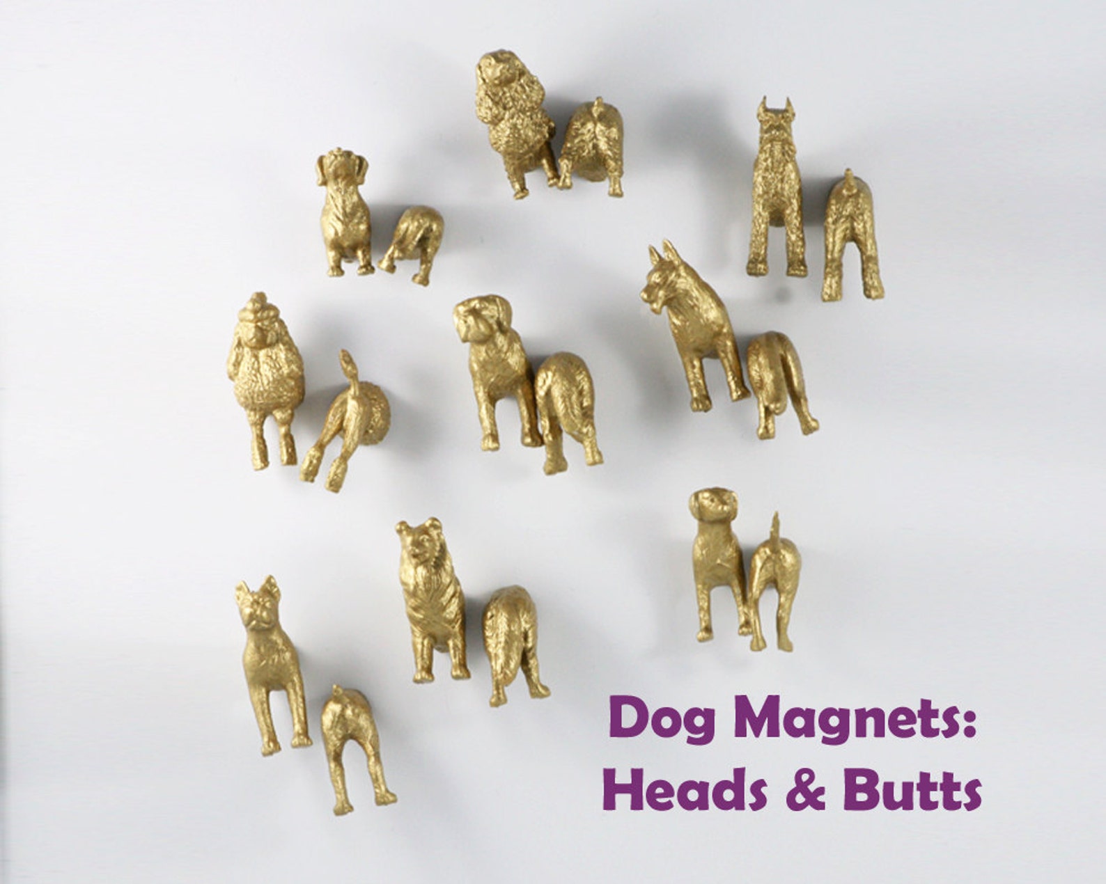 Large Dog Magnet Set Multi Dog Gold Magnets 18 Pieces 9 | Etsy