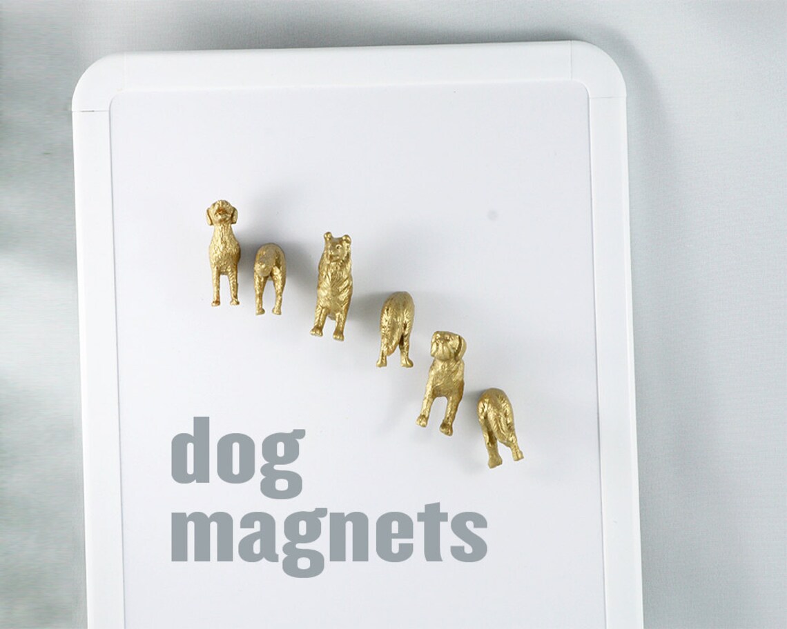 Dog Lover Magnet Set in Gold Set of Six 6 Magnets Adult - Etsy