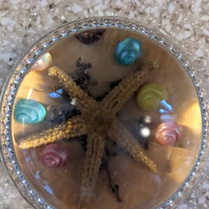 Vintage Domed Resin Paperweight With Starfish and Shells - Etsy