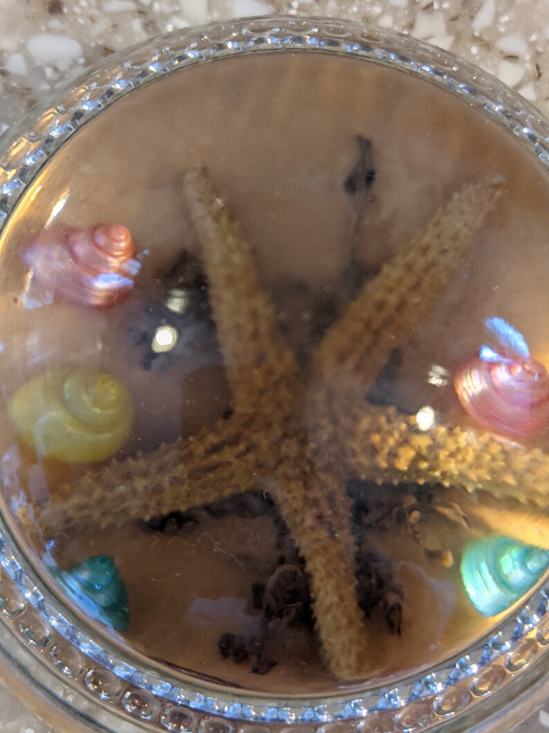 Vintage Domed Resin Paperweight With Starfish and Shells - Etsy