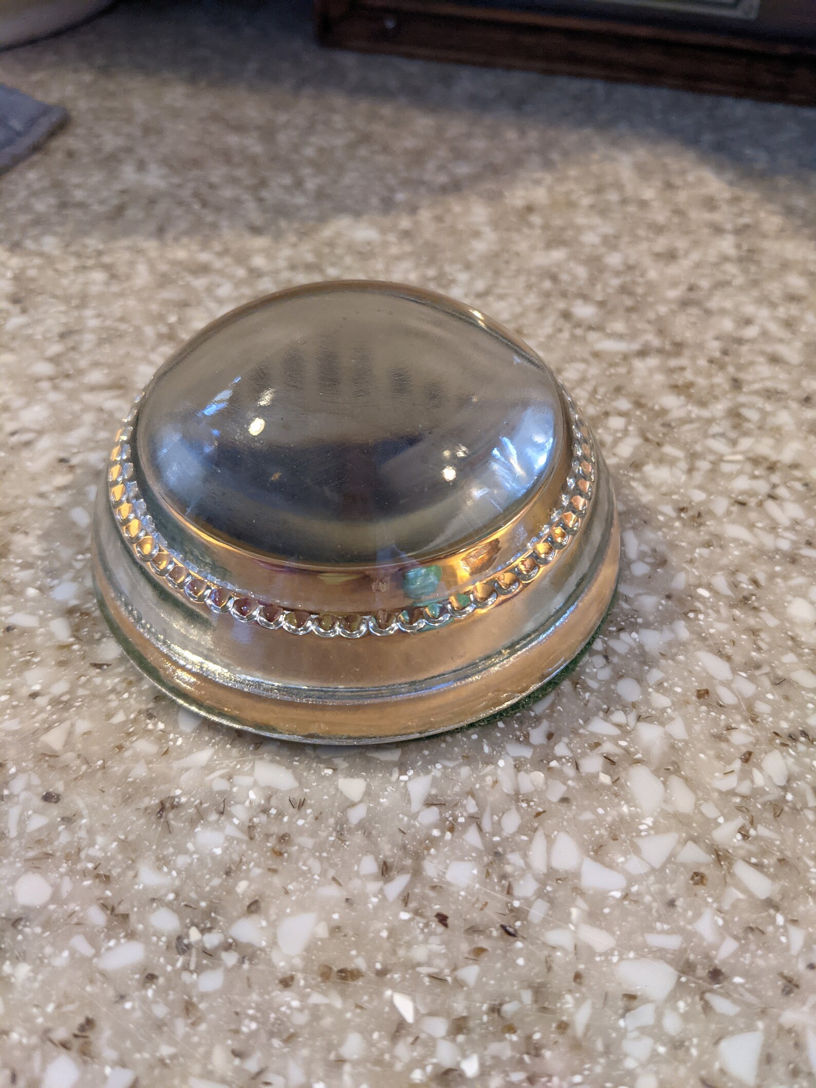 Vintage Domed Resin Paperweight With Starfish and Shells - Etsy