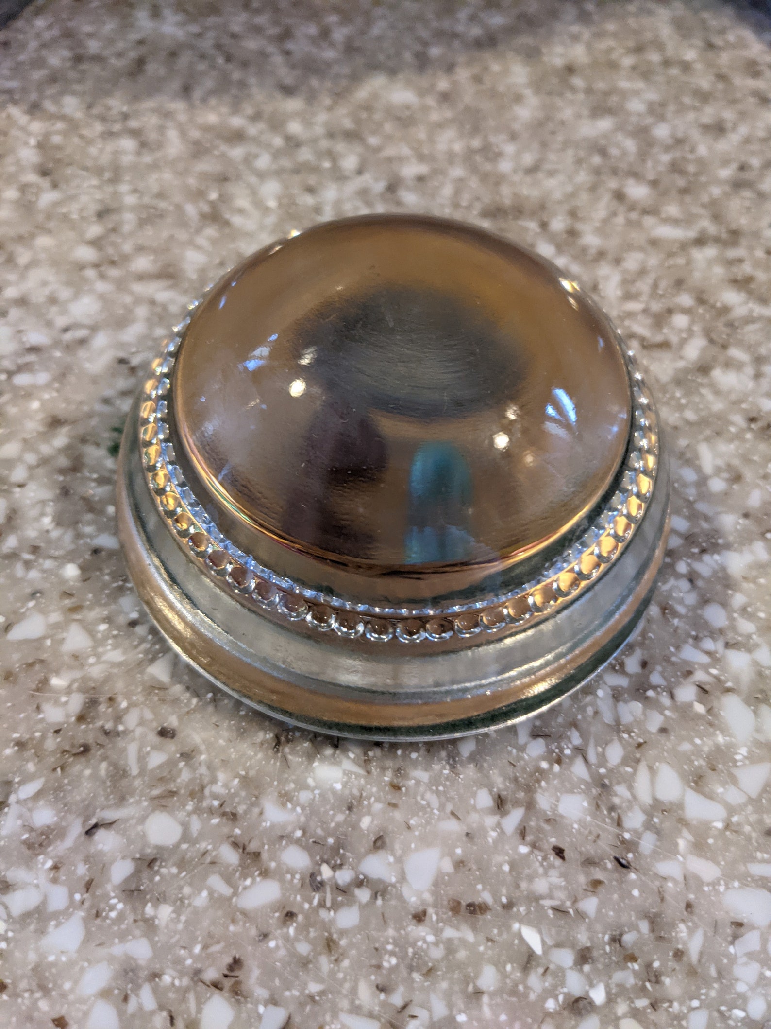 Vintage Domed Resin Paperweight With Starfish and Shells - Etsy