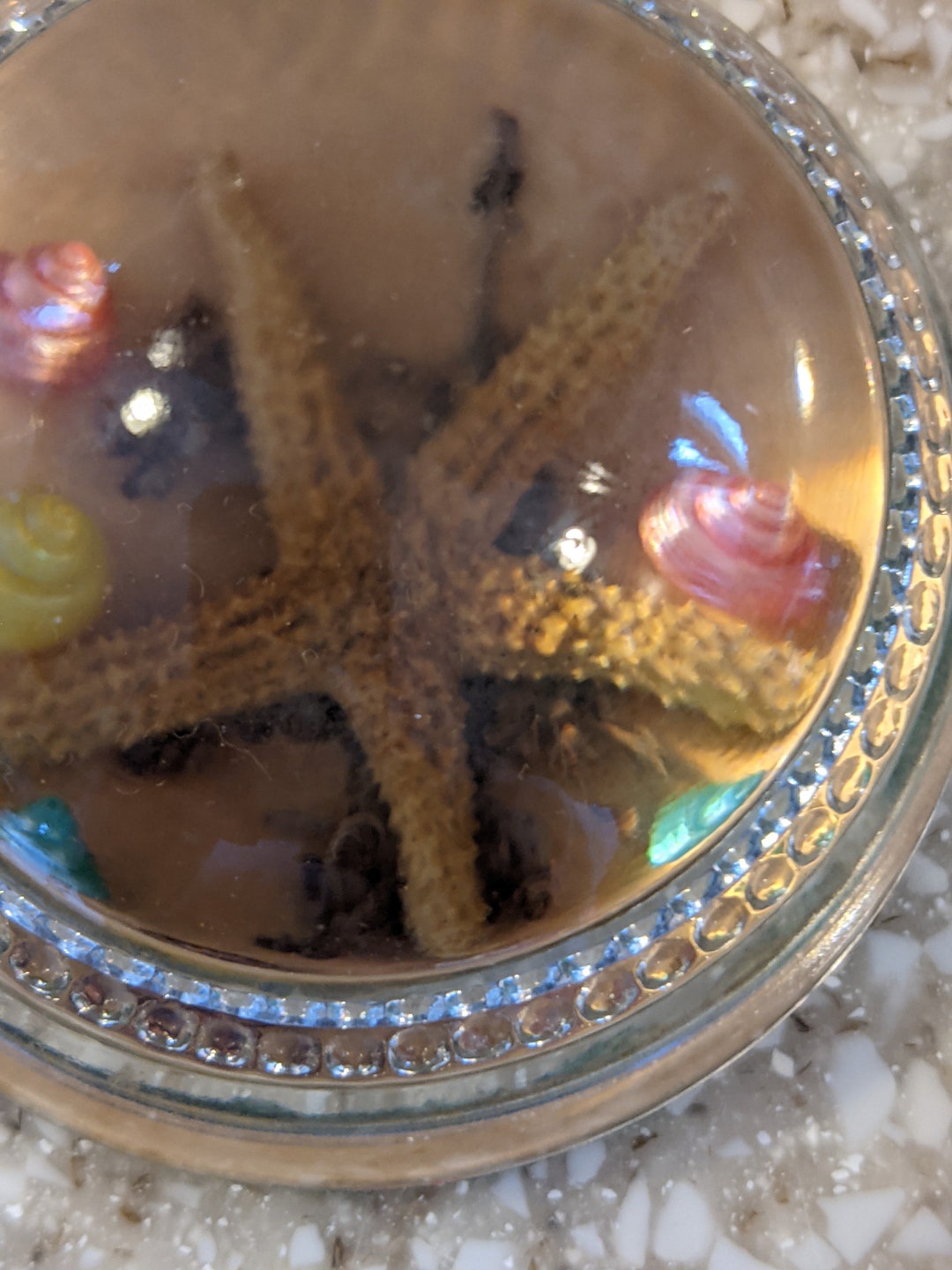 Vintage Domed Resin Paperweight With Starfish and Shells - Etsy