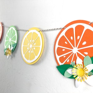 Citrus Banner Wall Decoration, Lemon Orange and Lime Floral Garland for ...