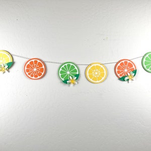 Citrus Banner Wall Decoration, Lemon Orange and Lime Floral Garland for ...