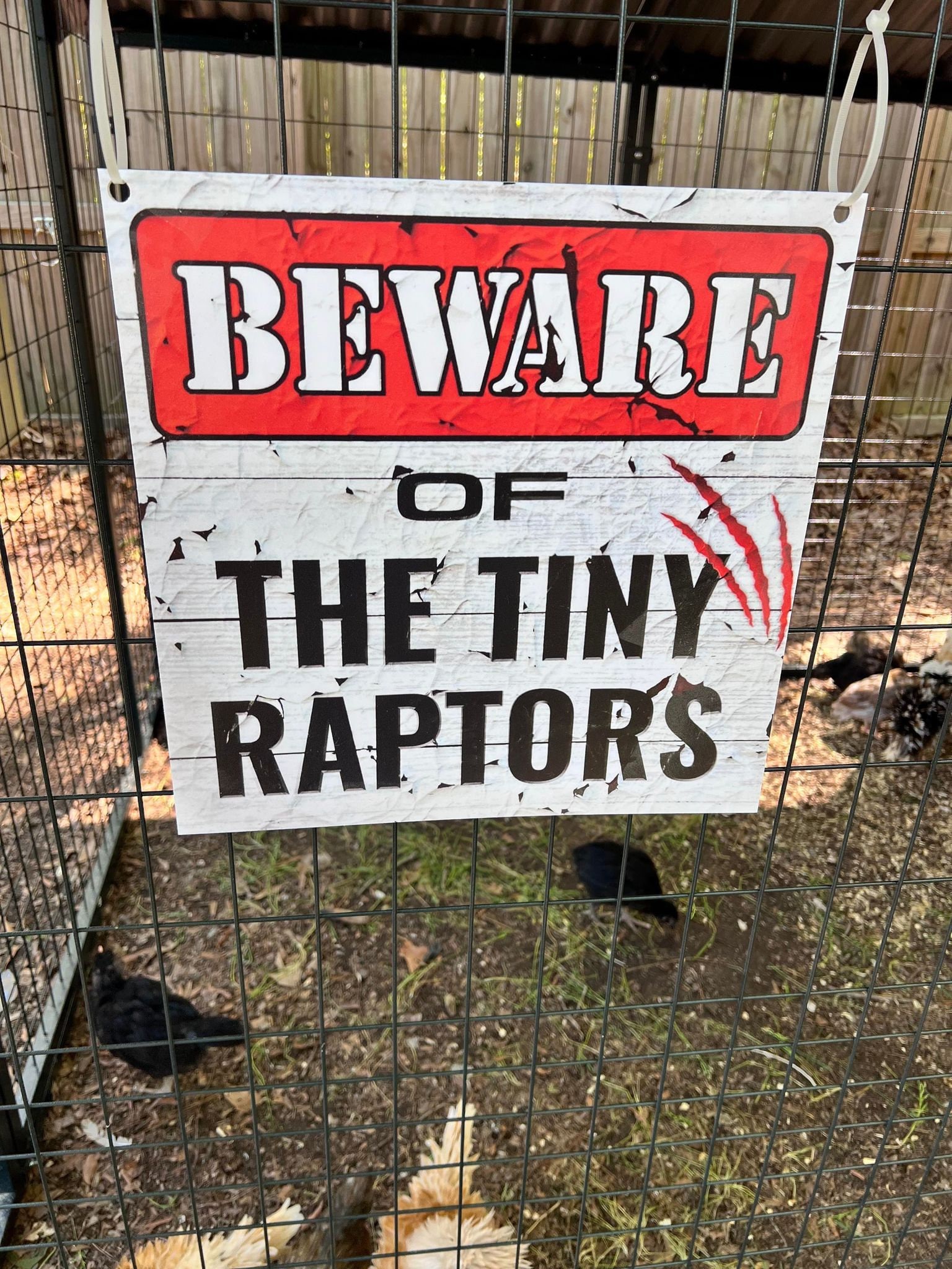 Beware of the Tiny Raptors - Etsy