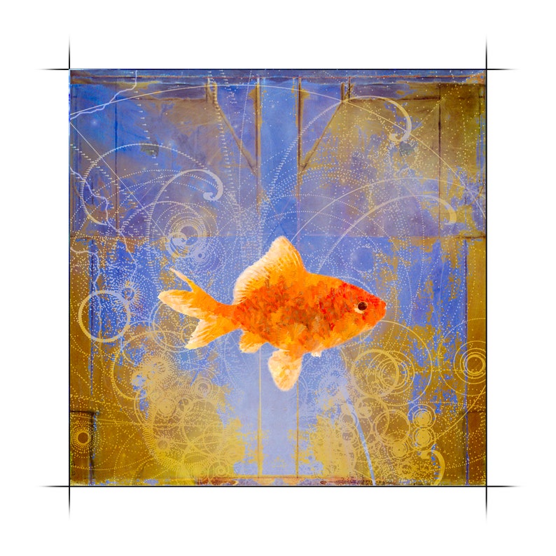 Square 22, the Goldfish - Etsy
