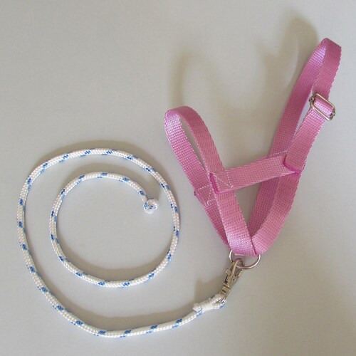 Sewing Pattern PDF Hobby Horse wish for a Pony | Etsy Canada