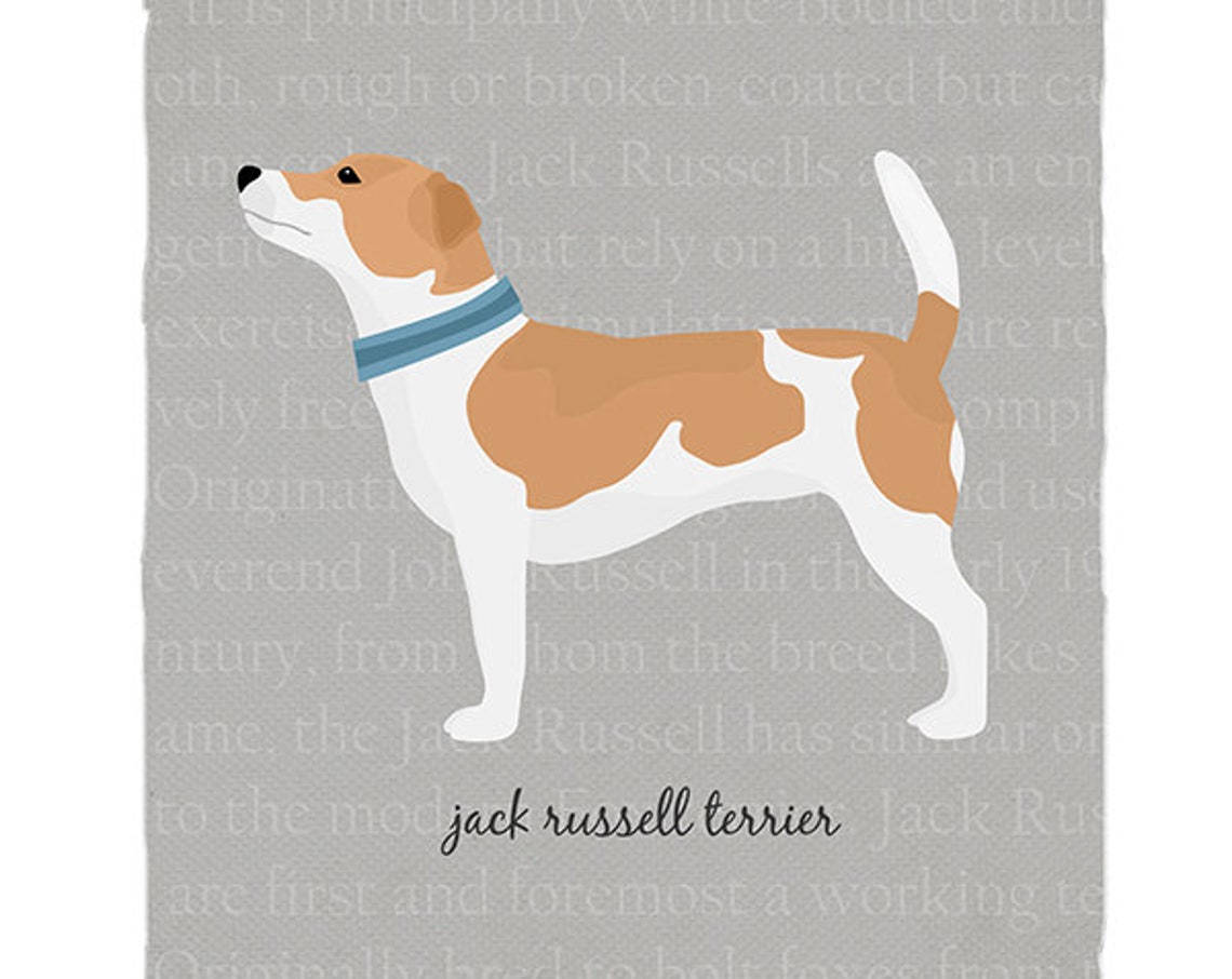 Jack Russell Terrier Custom Dog Art Print - Etsy