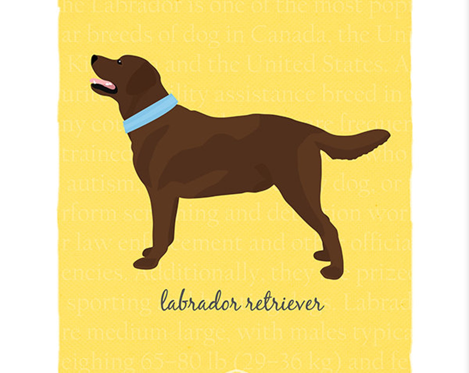 Chocolate Lab Custom Dog Art Print - Etsy