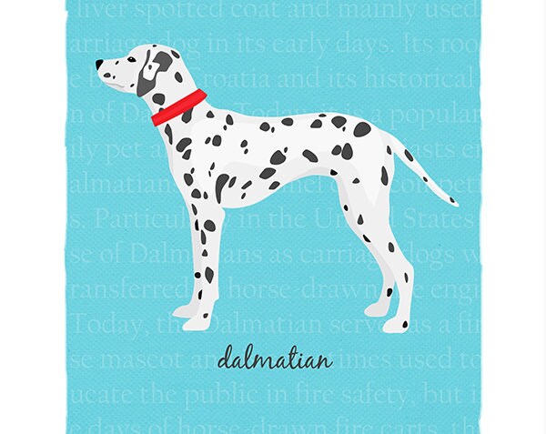 Dalmatian Custom Dog Art Print | Etsy