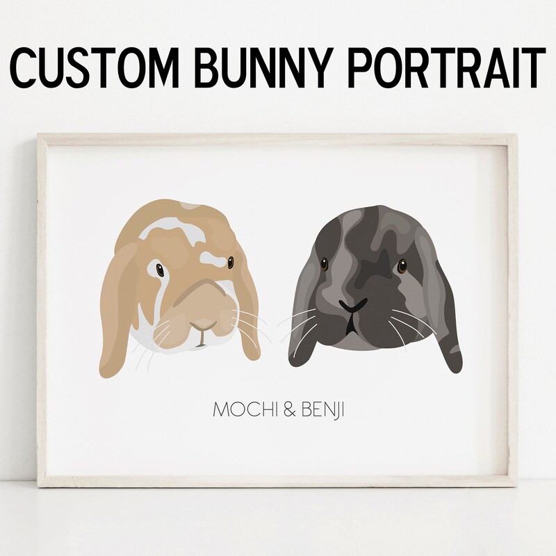 Bunny Portrait - Etsy