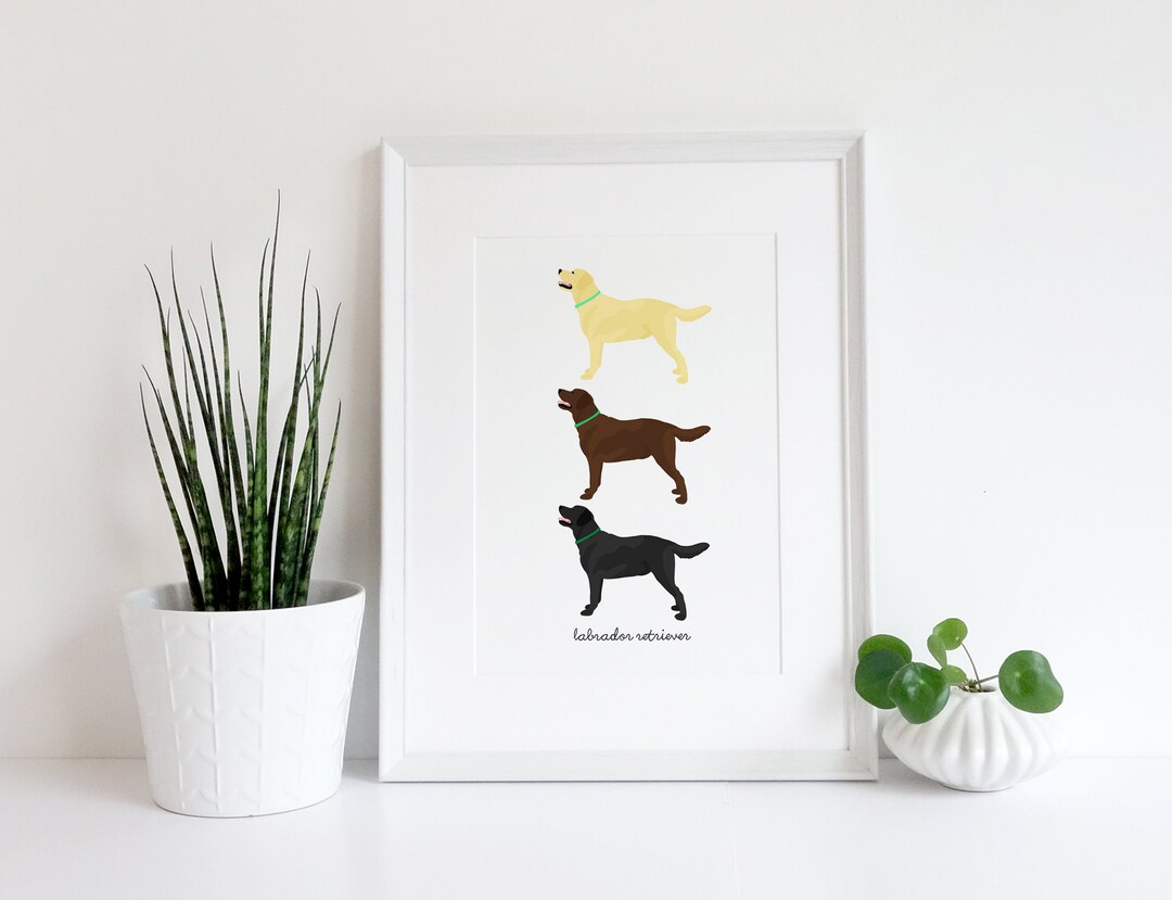 Labrador Retriever Color Chart - Modern Dog Art - Etsy